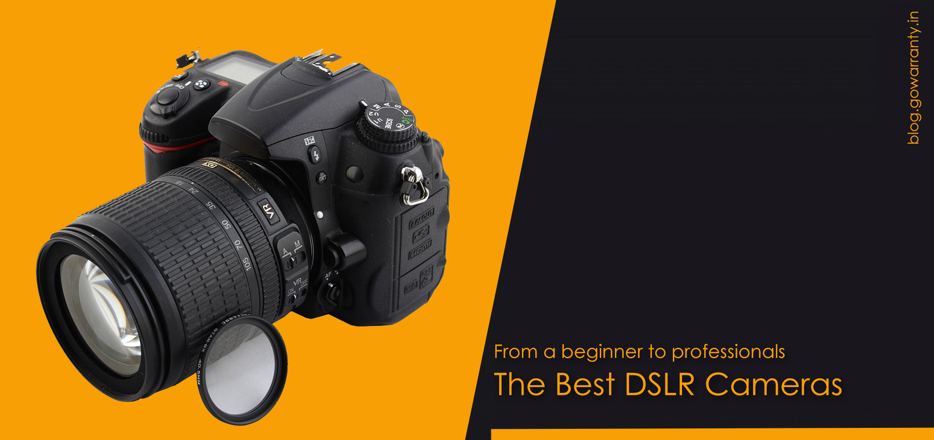 Best DSLR cameras for 2021: From beginner to Pro Digital SLRs ...